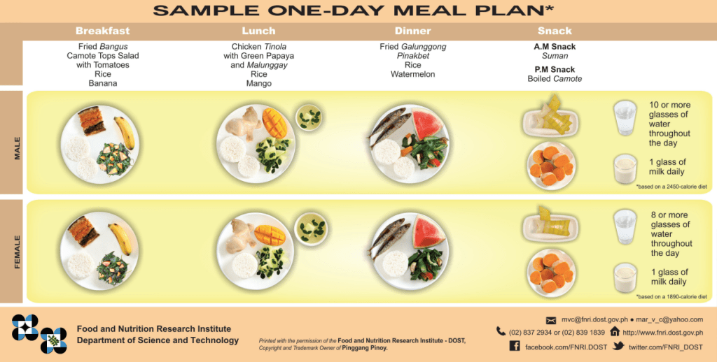 Recommended Food Plate for Filipinos – Welcome to my world!