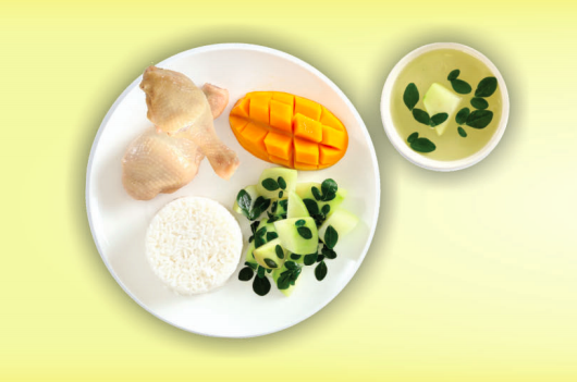 Recommended Food Plate for Filipinos – Welcome to my world!